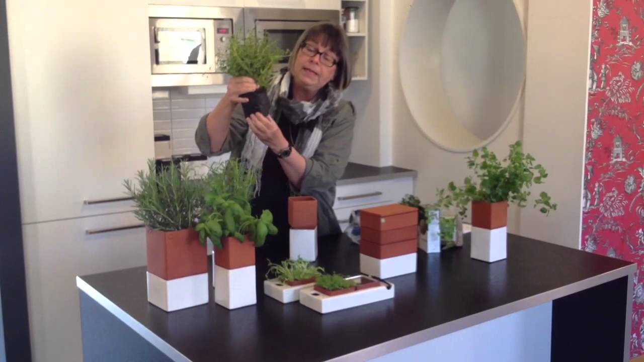 Kitchen Farming - YouTube