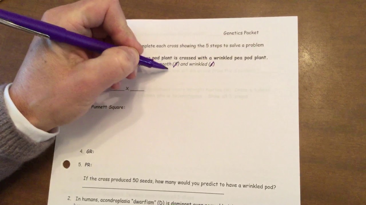 Genetics coloring and intro to genetics packet - YouTube