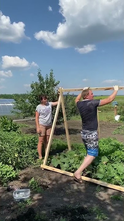 Подставка для огурцов. Из того что было. #shorts - YouTube