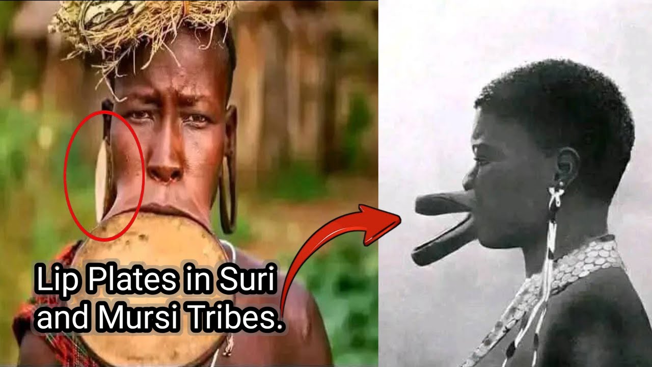 Symbol of Beauty: The Fascinating Tradition of Lip Plates in Suri and ...