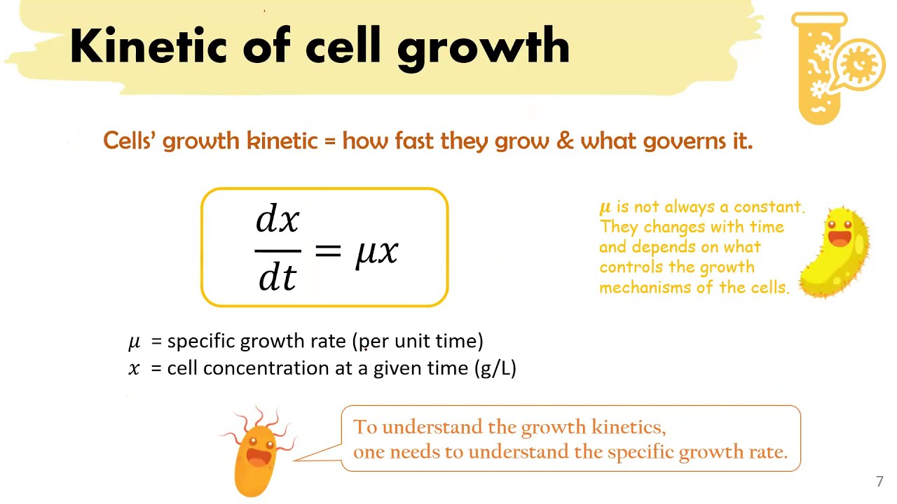 CTU lecture - microbial kinetics - YouTube