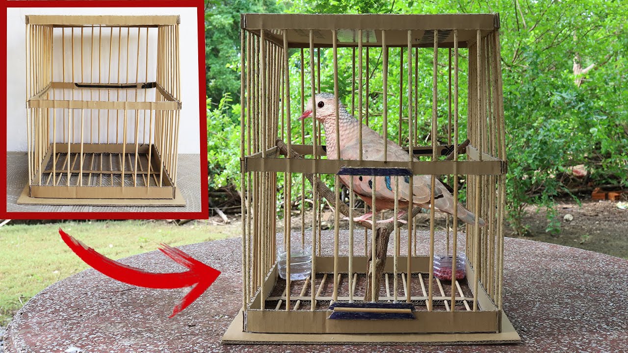 How to make bird cage using cardboard and round strip woods - YouTube