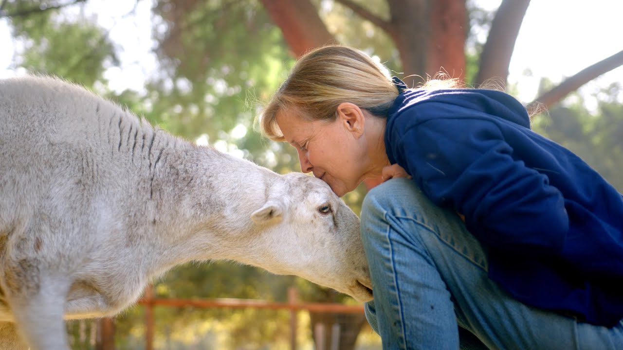 Kindred Spirits Care Farm Animal Sanctuary - YouTube