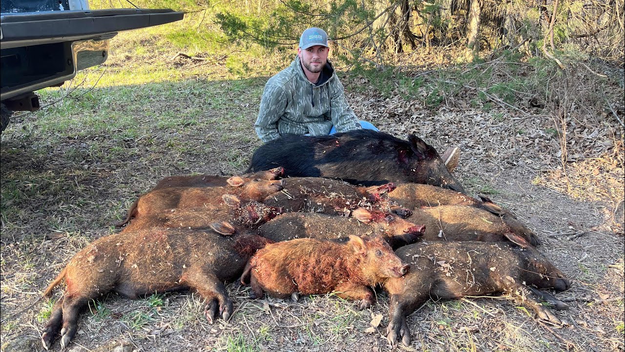 First wild hog catch of 2025 - YouTube