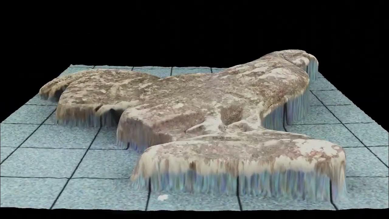 3D imaging of cultural artifacts with the multi-camera array microscope - YouTube