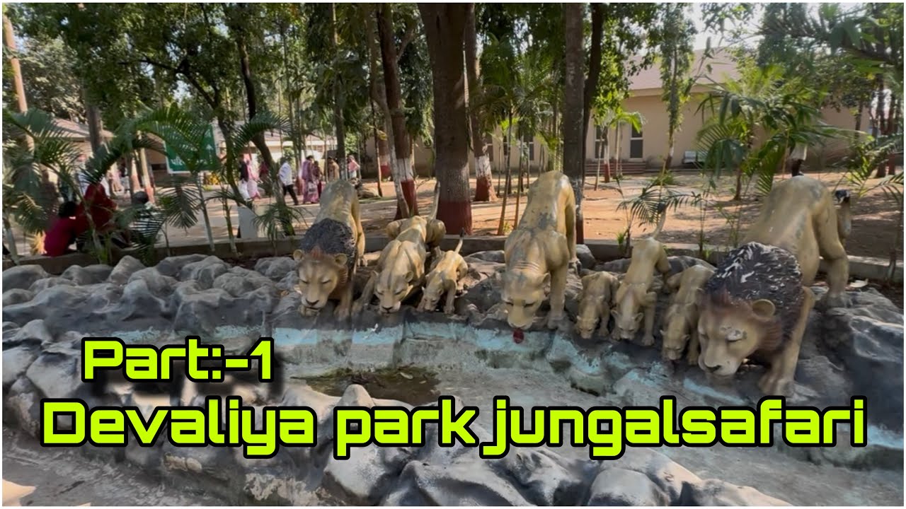 Devaliya national park jungalsafari // જંગલ સફારી નો આનંદ// સિહ જોવાની ...