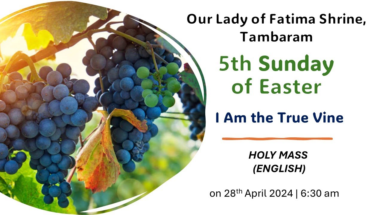 5th Sunday of Easter | English Holy Mass | LIVE from Our Lady of Fatima ...