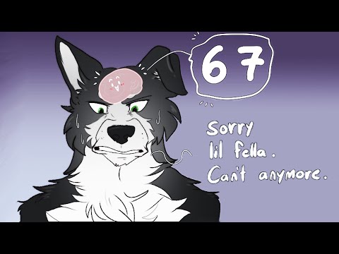 Furry Tiktoks that can't finish the job