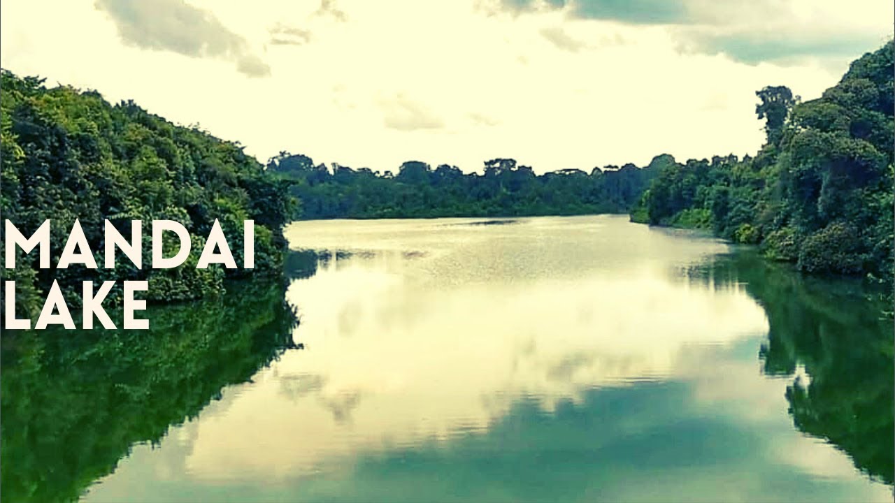 Mandai Lake Singapore - YouTube