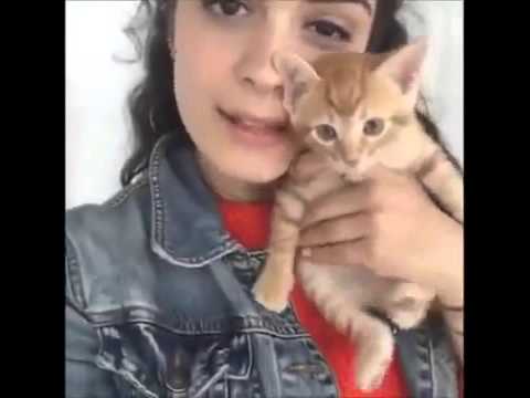 En İyi Türk Vine Videoları 2017