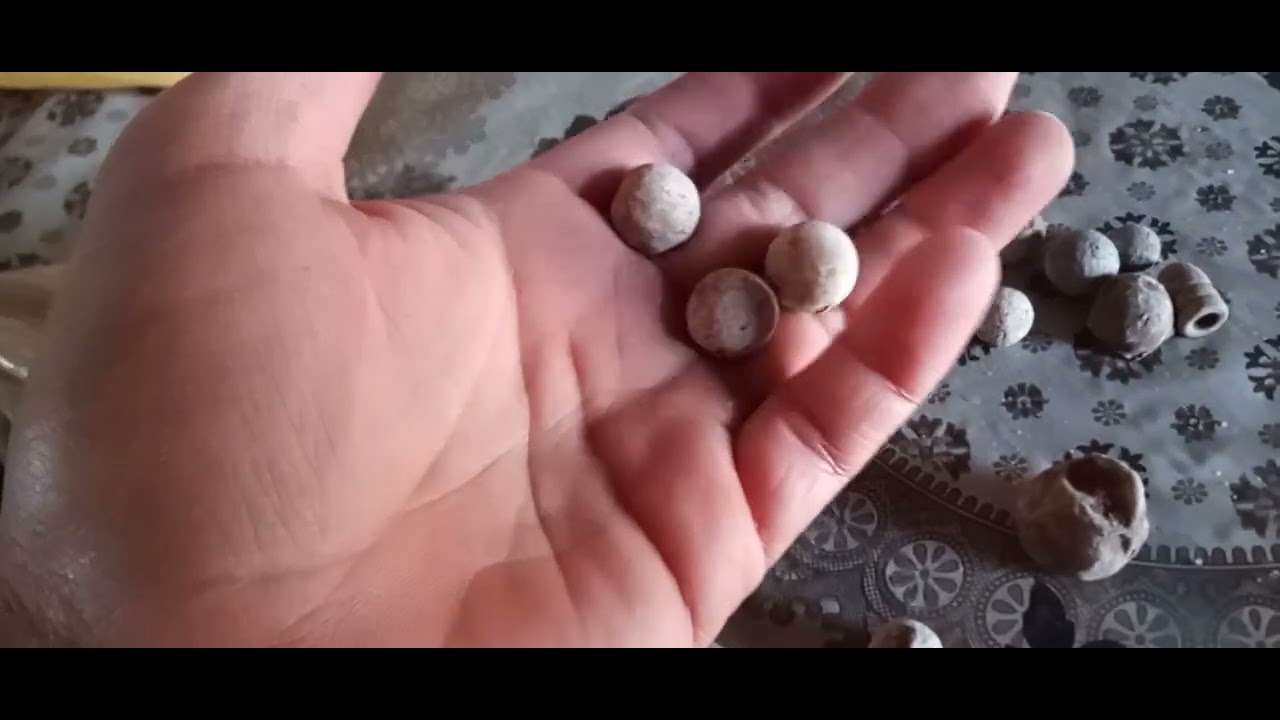 Donde hay balas de mosquete (perdigones) es seguro encontrar LAS ...