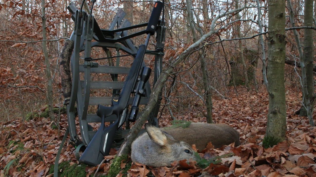 Drückjagd vom Klettersitz - jagenNRW story #8 - YouTube