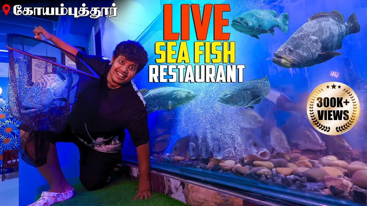 FIRST TIME Live SEA Fish Restaurant 😱 - Neydhal The Coast - Irfan’s ...