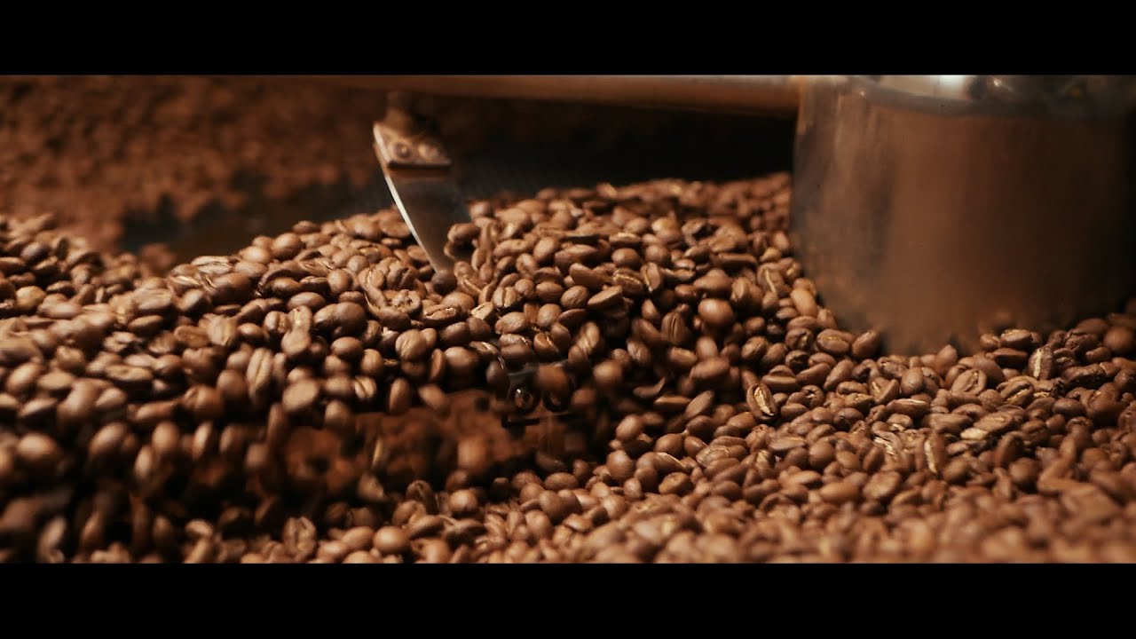 Specialty Coffee Roastery Commercial | Cinematic Video G80 handheld ...