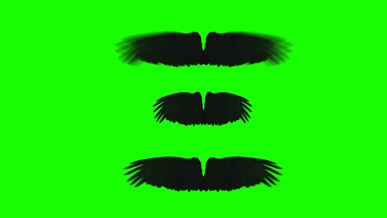 Dark Angel Bird Wings - Green Screen Animation - YouTube