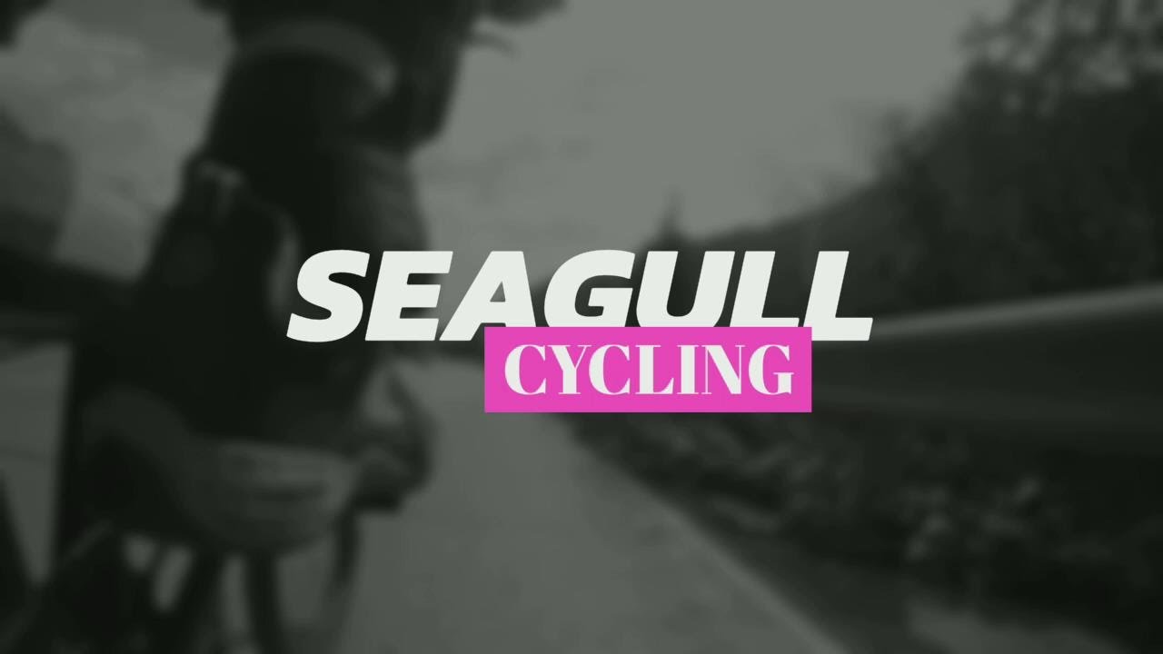 Seagull Cycling - YouTube