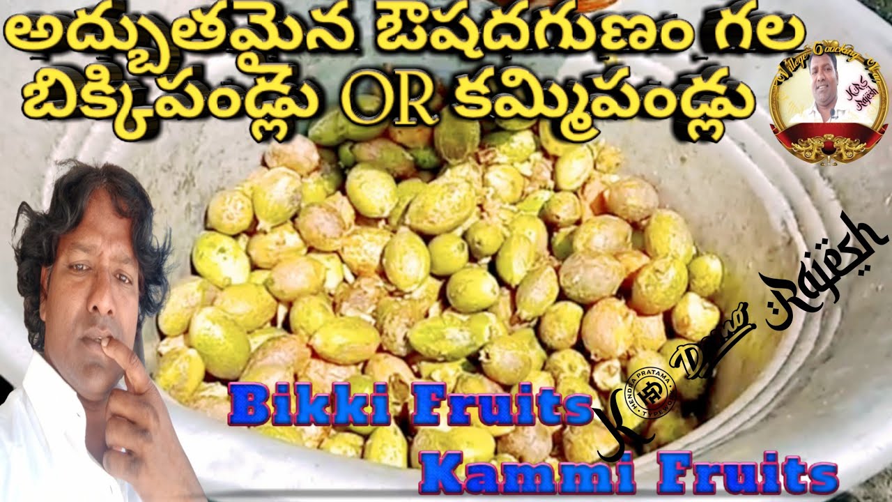 అడవిలో దొరికే సహజసద్దమైన బిక్కిపండ్లు కమ్మిపండ్లు|Bikki Fruits or Kammi ...