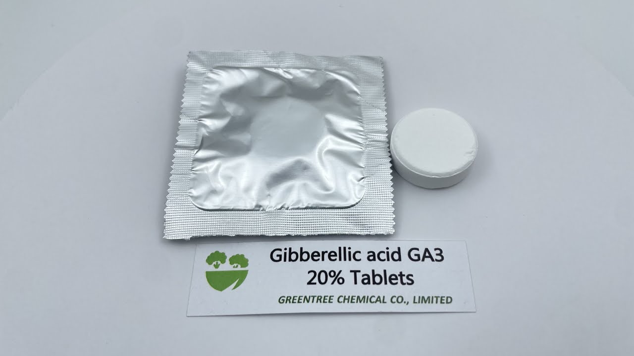 Gibberellic acid GA3 20% Tablets CAS NO. 77-06-5 Plant Growth Regulator ...