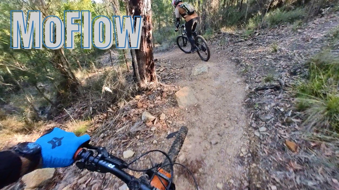 Mogo Trails, MoFlow, A nice little starter - YouTube