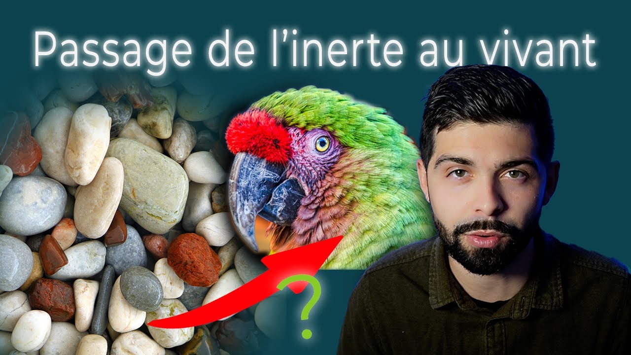 Comment sommes nous passer de l'inerte au vivant ? - YouTube