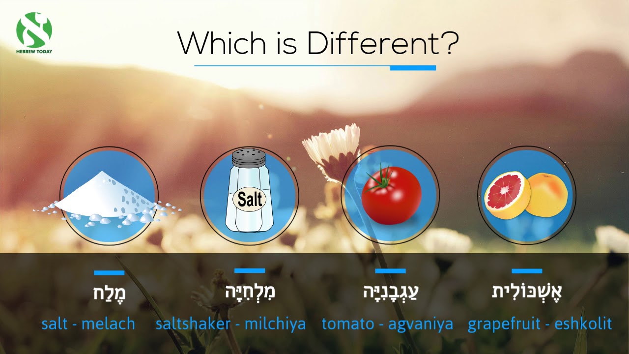Practice your Hebrew with the Hebrew Starter's Packet- Hebrew Gender ...