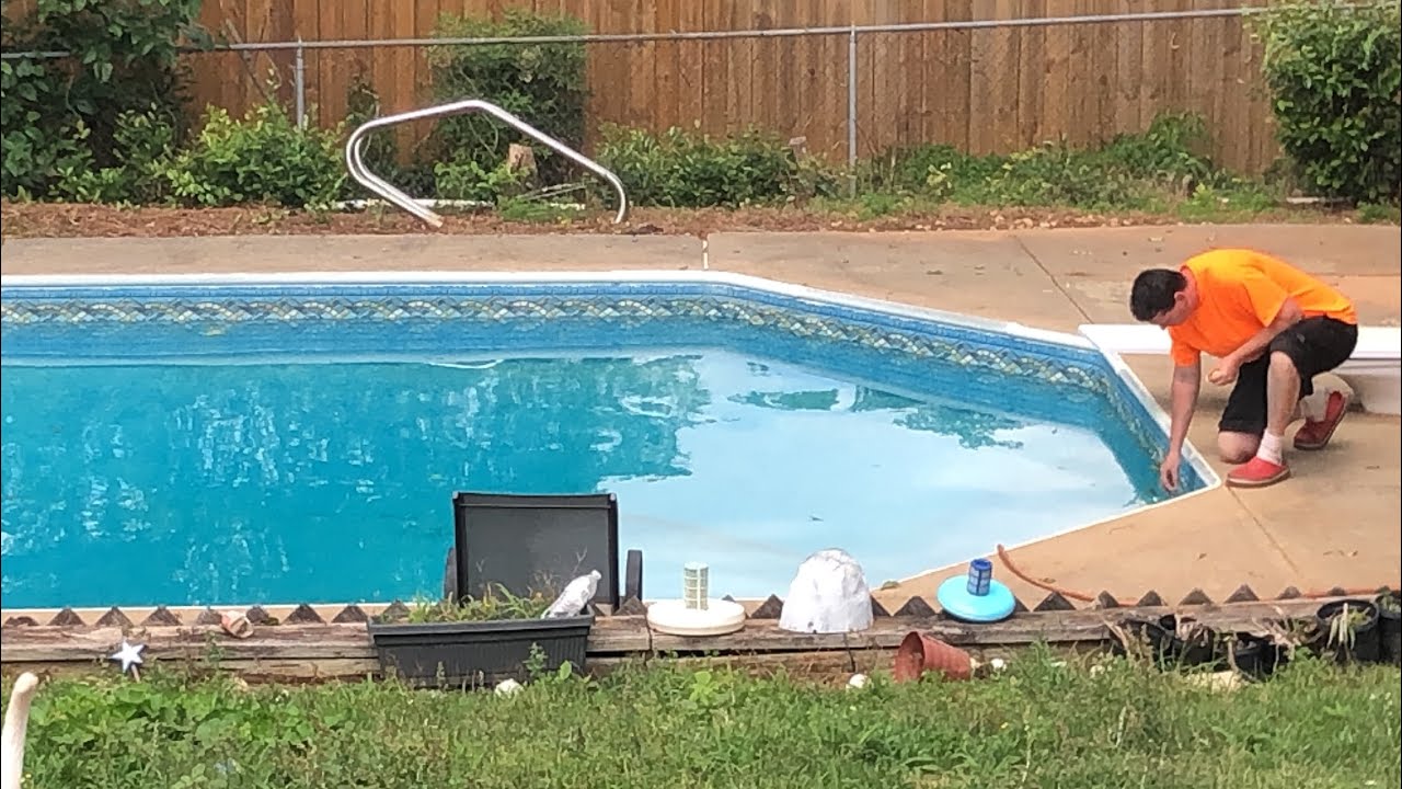 Chillin Outside Backyard Watching My Boo Checking The Pool - YouTube
