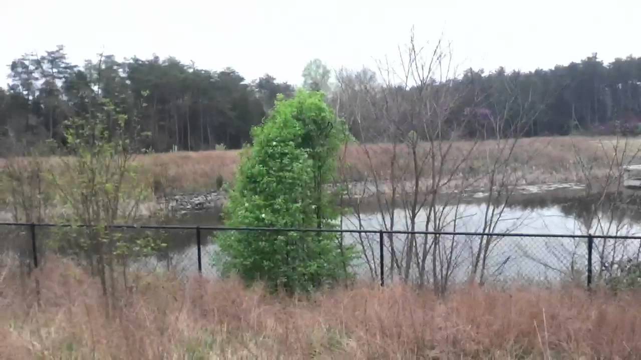 Throwing A Snake - YouTube
