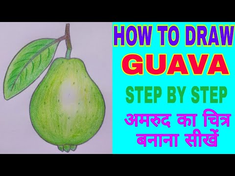 How to draw a Guava step by step (very easy) #अमरूद_का_चित्र बनाने का ...