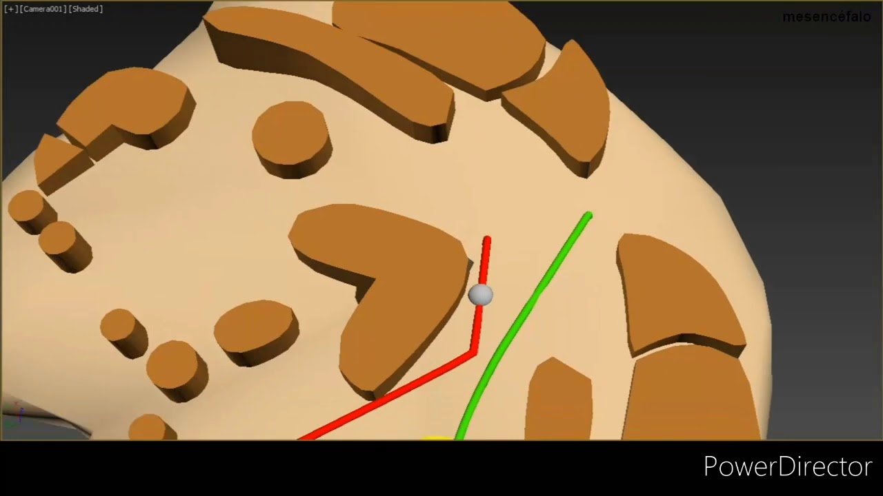 tracto rubroespinal HD 720p - YouTube