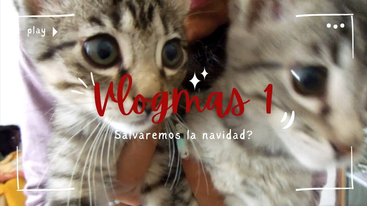 VLOGMAS DIA 1: Podré salvar mi navidad? - YouTube