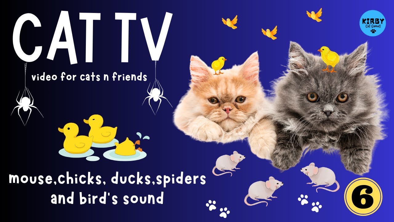 CAT TV, FUN videos for your CATS to make them HAPPY with mouse, chicks,ducks, spiders and bird ...