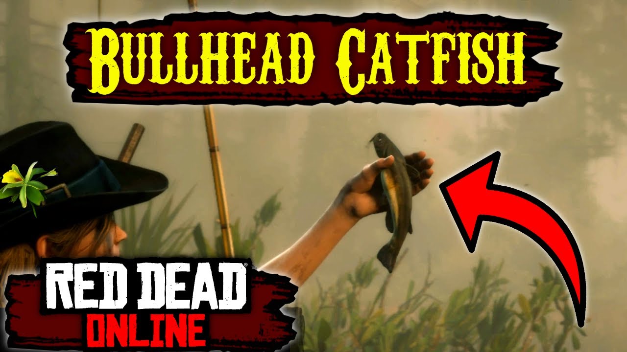 RDR2 Bullhead Catfish locations - where to catch Bullhead Catfish in ...