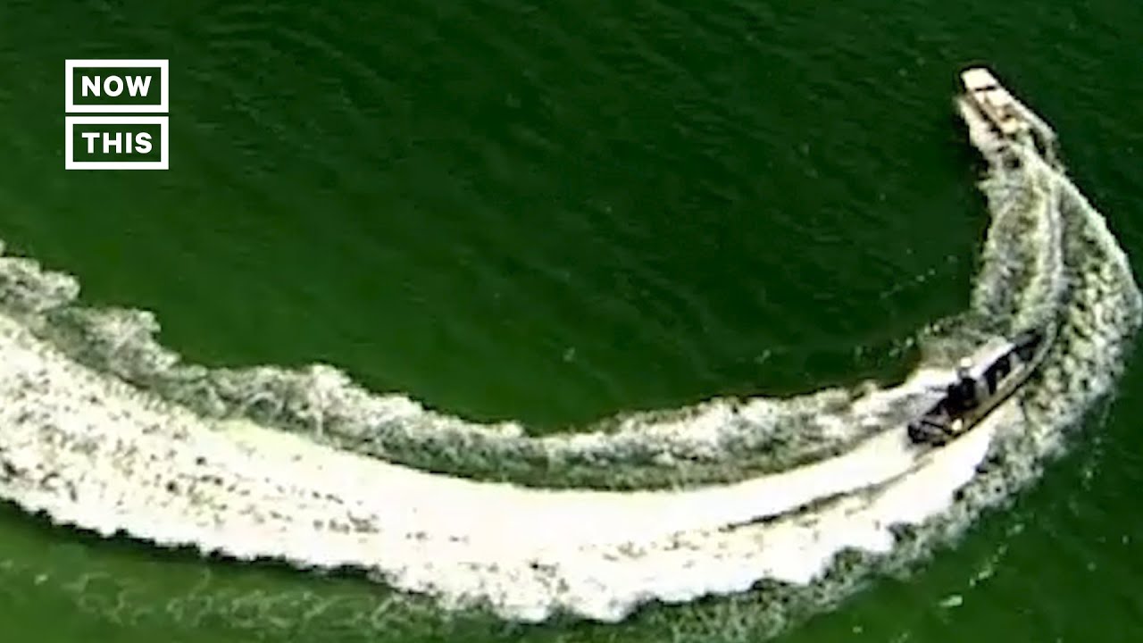 Marine Authorities Stop Runaway Boat in St. Pete, Florida - YouTube