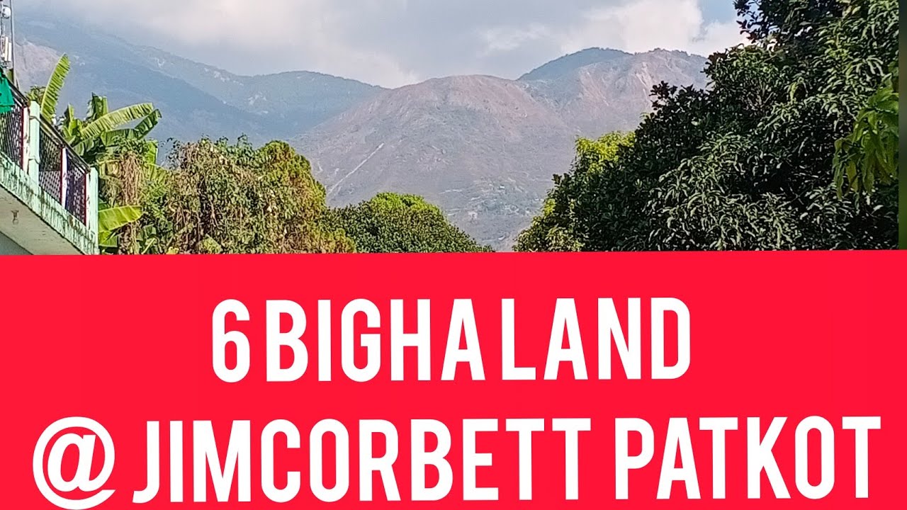 #Resort land 6 Bigha for sale in #Jimcorbett Patkot #Nainital # ...