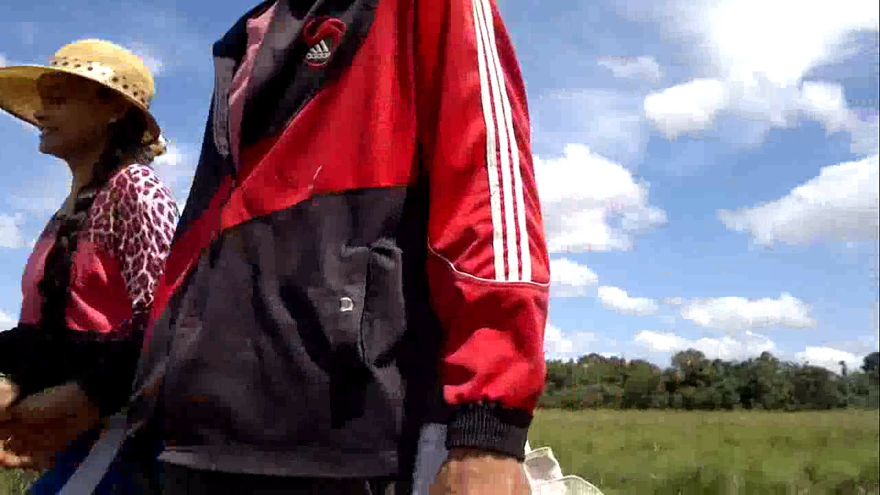 Tráiler oficial de la película de PYTA JOVAI - YouTube