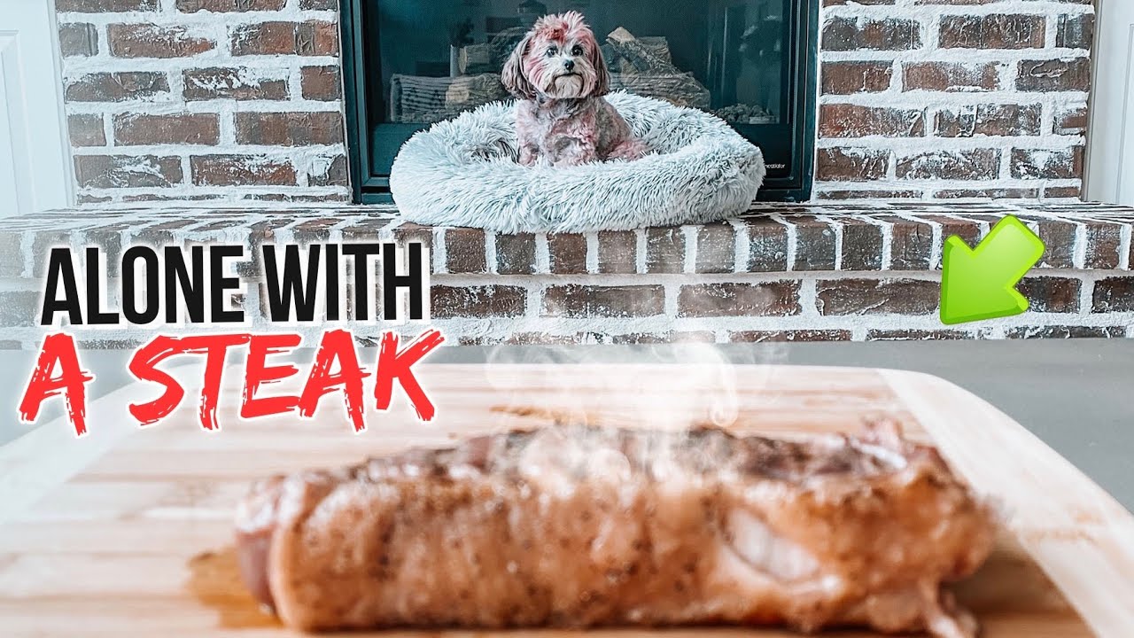LEAVING MY DOG ALONE WITH A HUGE BEEF STEAK - YouTube