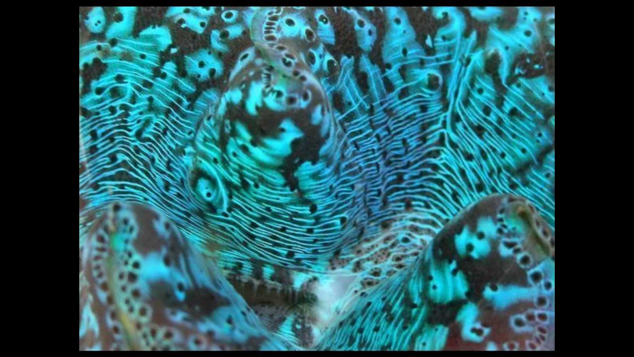 Weird Creepy Hallucinations - YouTube