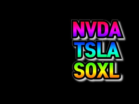 [ 2024.11.12 ] SOXL , NVDL , TSLL , CONL , MSTX - YouTube