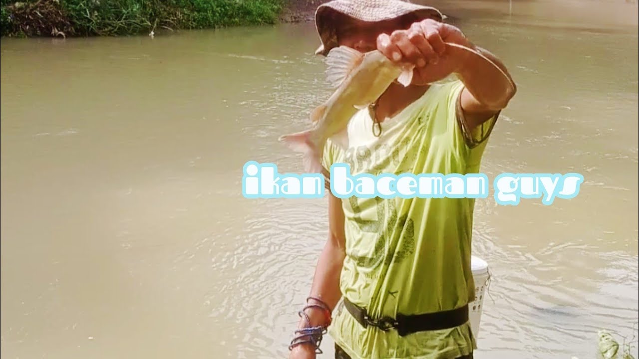 menegangkan !! detik-detik ikan baceman/baung ke jala ikan MANTAP ...