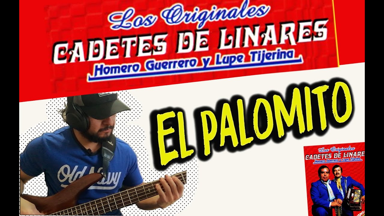 Como tocar || El Palomito || LOS CADETES DE LINATES || - YouTube
