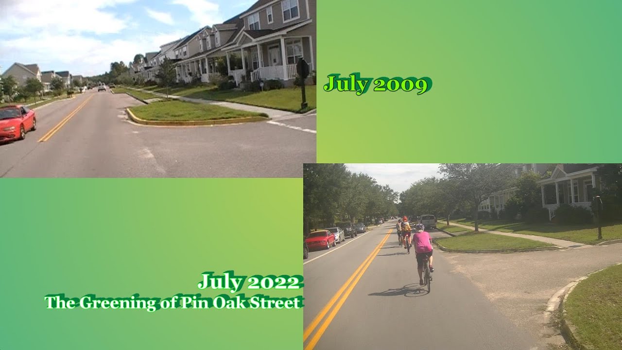 The Greening of Pin Oak Street. From May River Road to Red Cedar Street ...