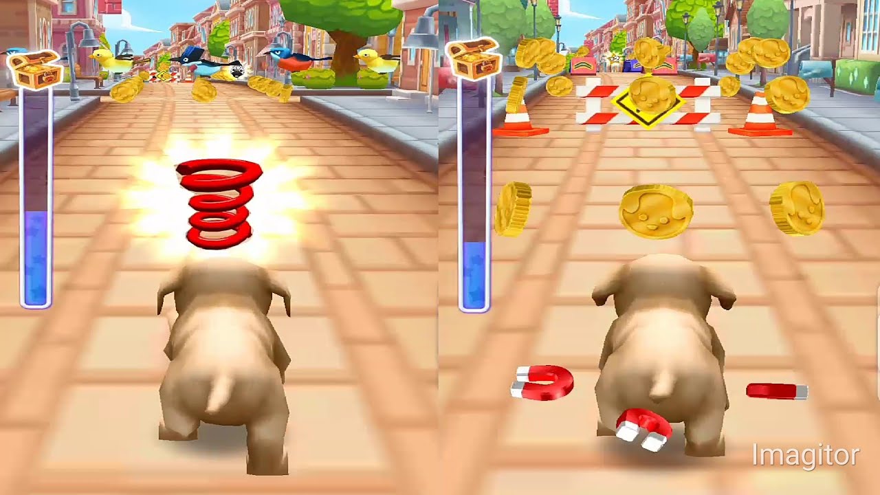 pet race game ️ pet run in garden on beautiful race track | PET ganes ...