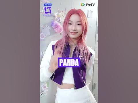 Swipe, then smile | ZHANG XIANG YI | ZOI | PANDA | REI | YEAN | WANG SHENG XI | PRAEW 【CHUANG ...