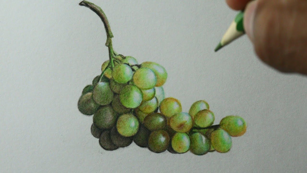 Como desenhar Uvas verde PASSO A PASSO narrado - YouTube