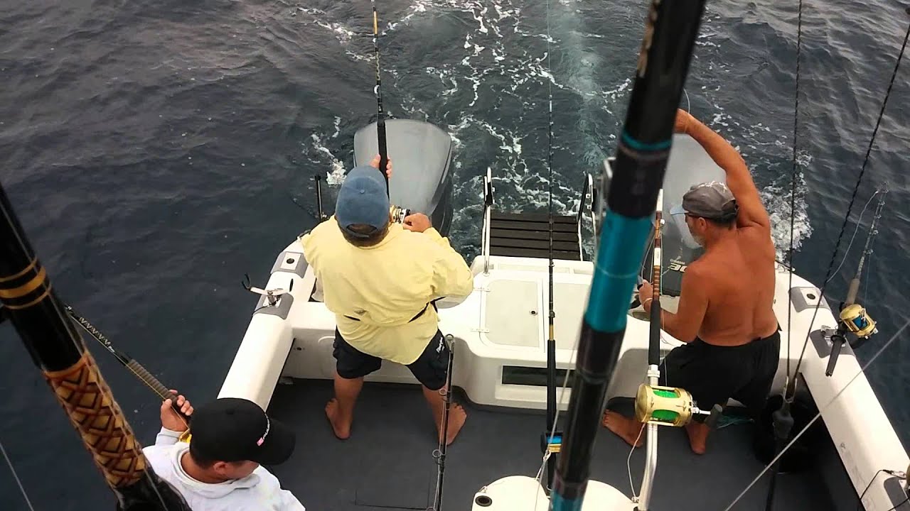 2015 Fishing with Speedy - YouTube