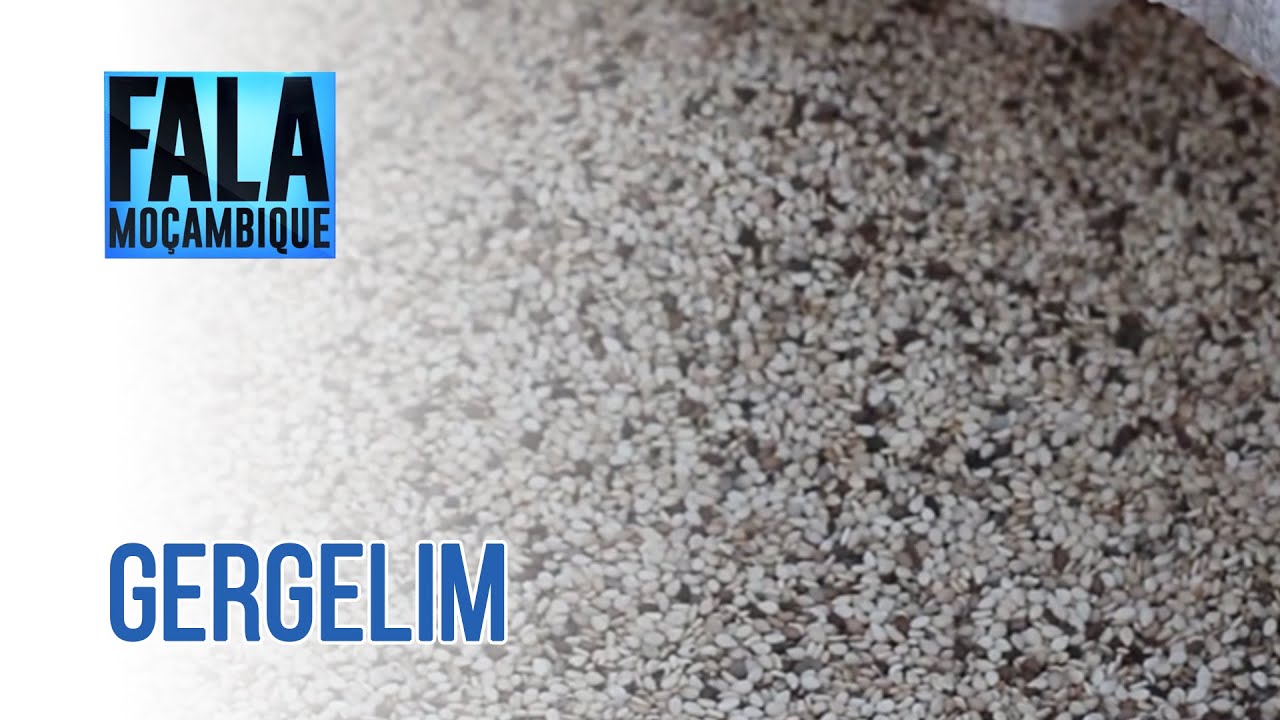 Aumenta cultivo no distrito de Machaze em Manica - YouTube