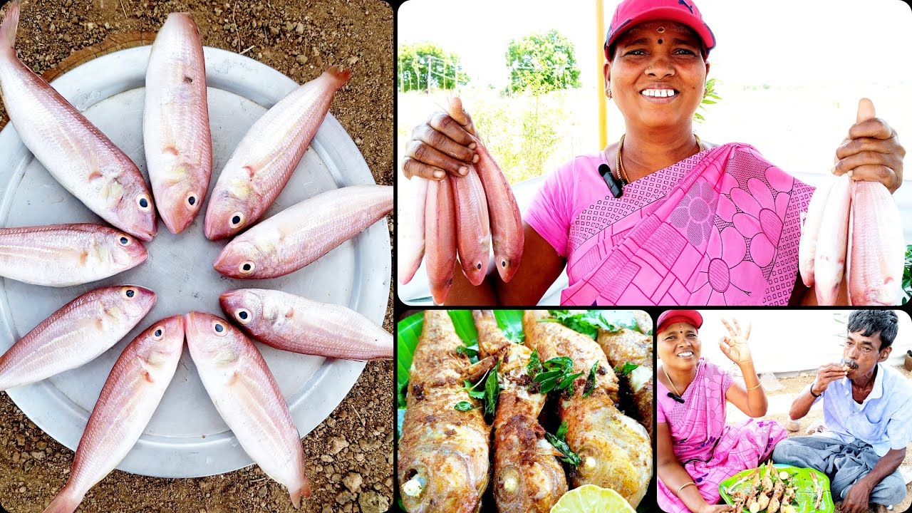RED SNAPPER FISH FRY I செம்மீன் வறுவல் I Indian Goat Fish Fry I Fish ...
