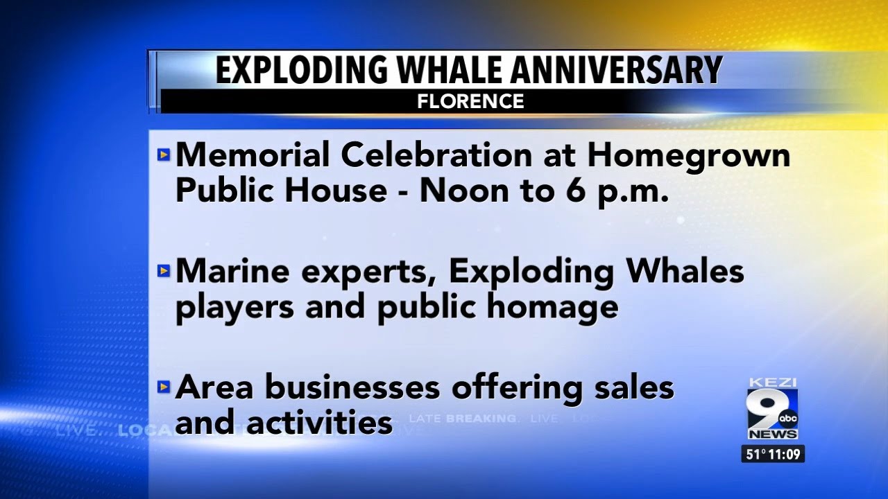 Florence community to celebrate 53rd anniversary of infamous whale ...