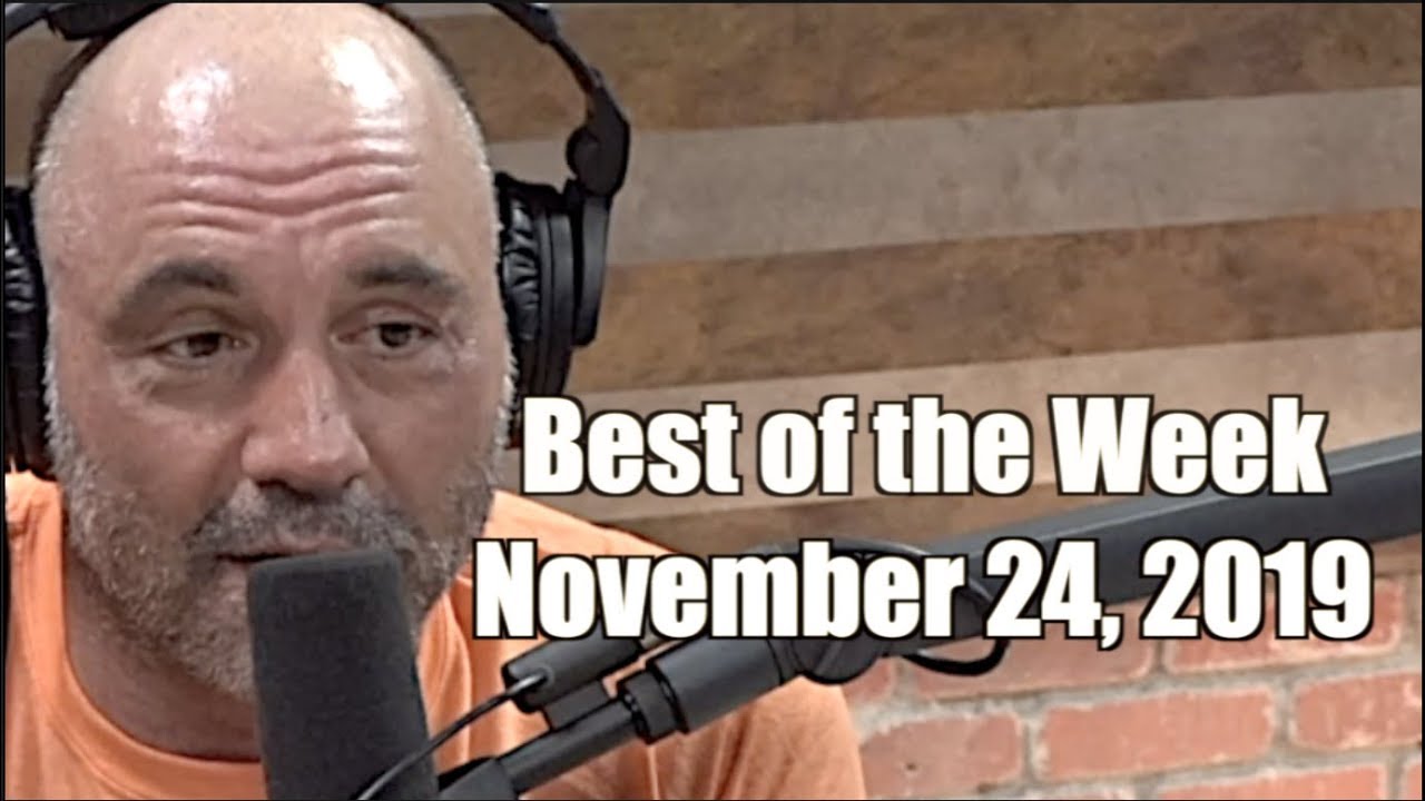 Best of the Week - November 24, 2019 - Joe Rogan Experience - YouTube