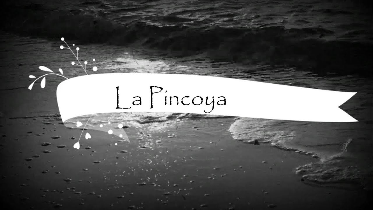 La pincoya - YouTube